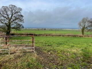 Farm land for sale in Small Parcel Of Land At Millockstown, Ardee ...