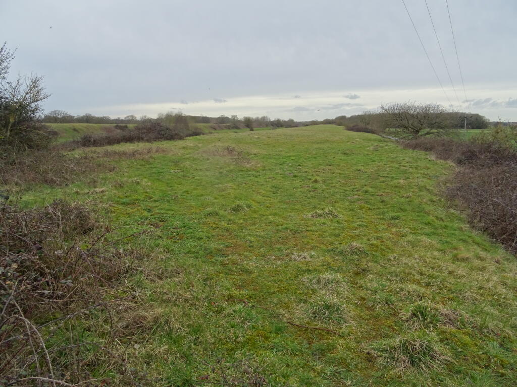 Land for sale in Grazing Amenity land Wretton, PE33