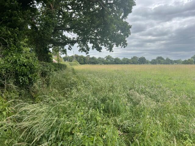 Land for sale in Land off Cobblers Lane, Rossett, LL12