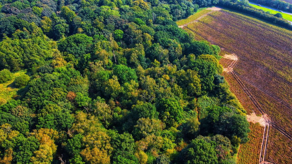 Land for sale in Winnington Wood, Nr Northwich, WA16