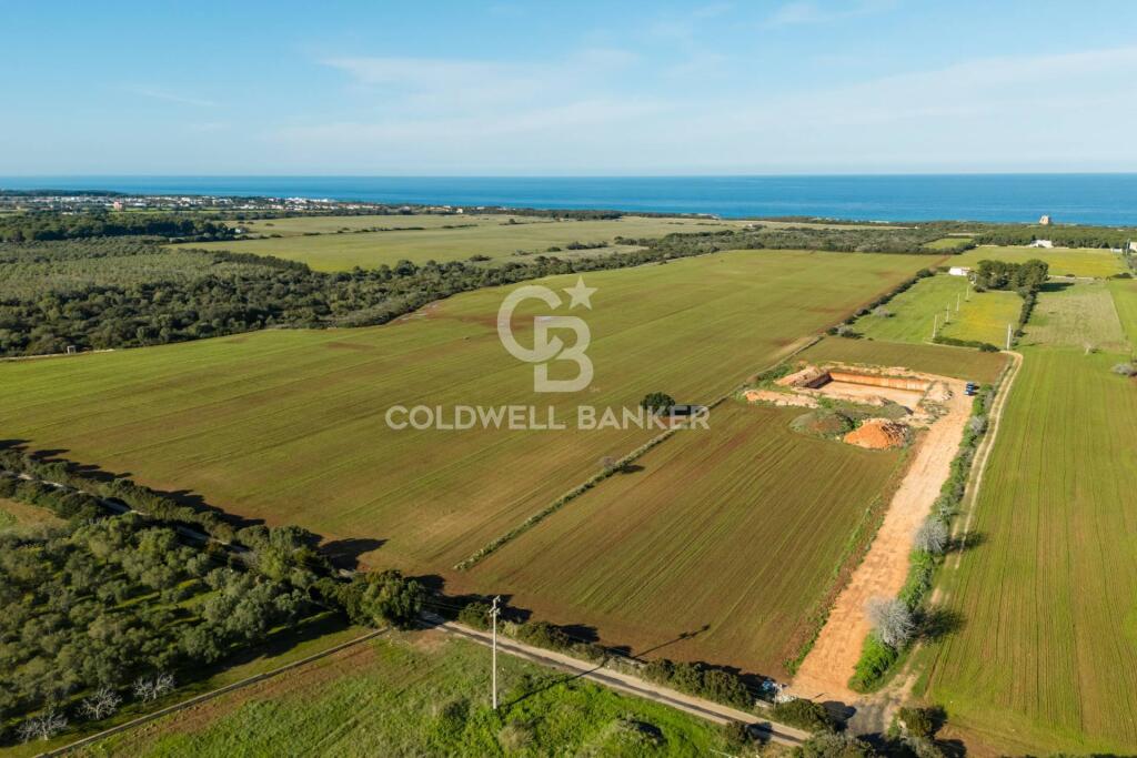 Farm land for sale in Apulia, Brindisi, Ostuni, Italy