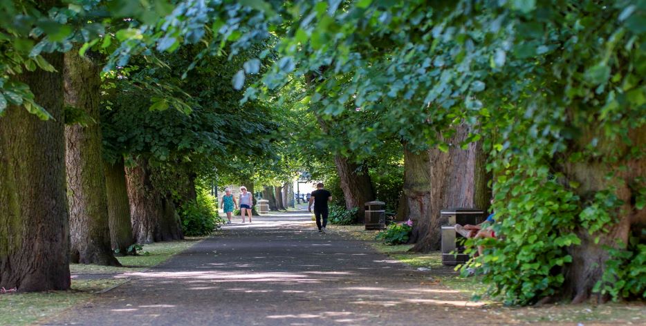 Contact Bower Park at The Spires New Homes Development by Taylor Wimpey