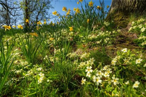 Properties For Sale in Fife | Rightmove