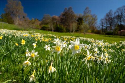 Properties For Sale in Fife | Rightmove