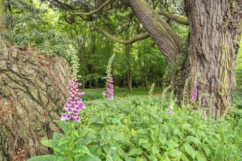 Properties For Sale in Snape | Rightmove