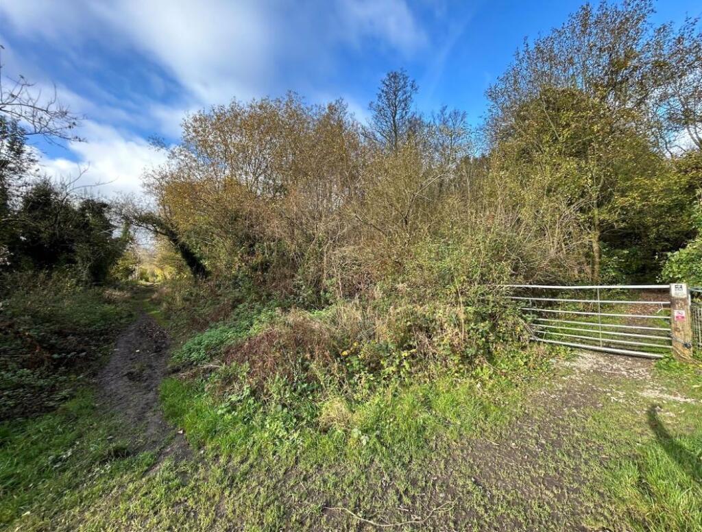 Land for sale in Woodland Adjacent to Dolgoch, Dolgoch, Llynclys ...