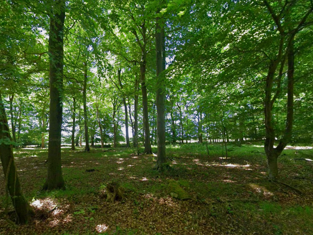 Land for sale in Land lying to the south east of Stag Hall, Stoke Row ...