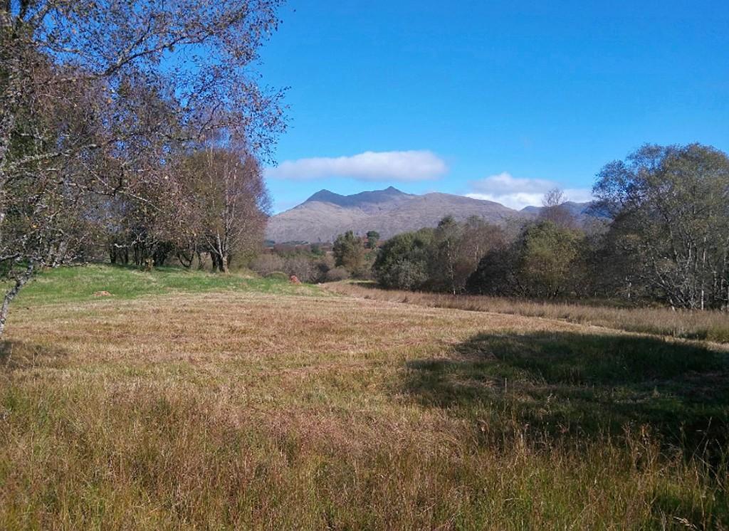 Farm land for sale in Croft 2, Ballimore Estate, Kilchrenan, PA35 1HD, PA35